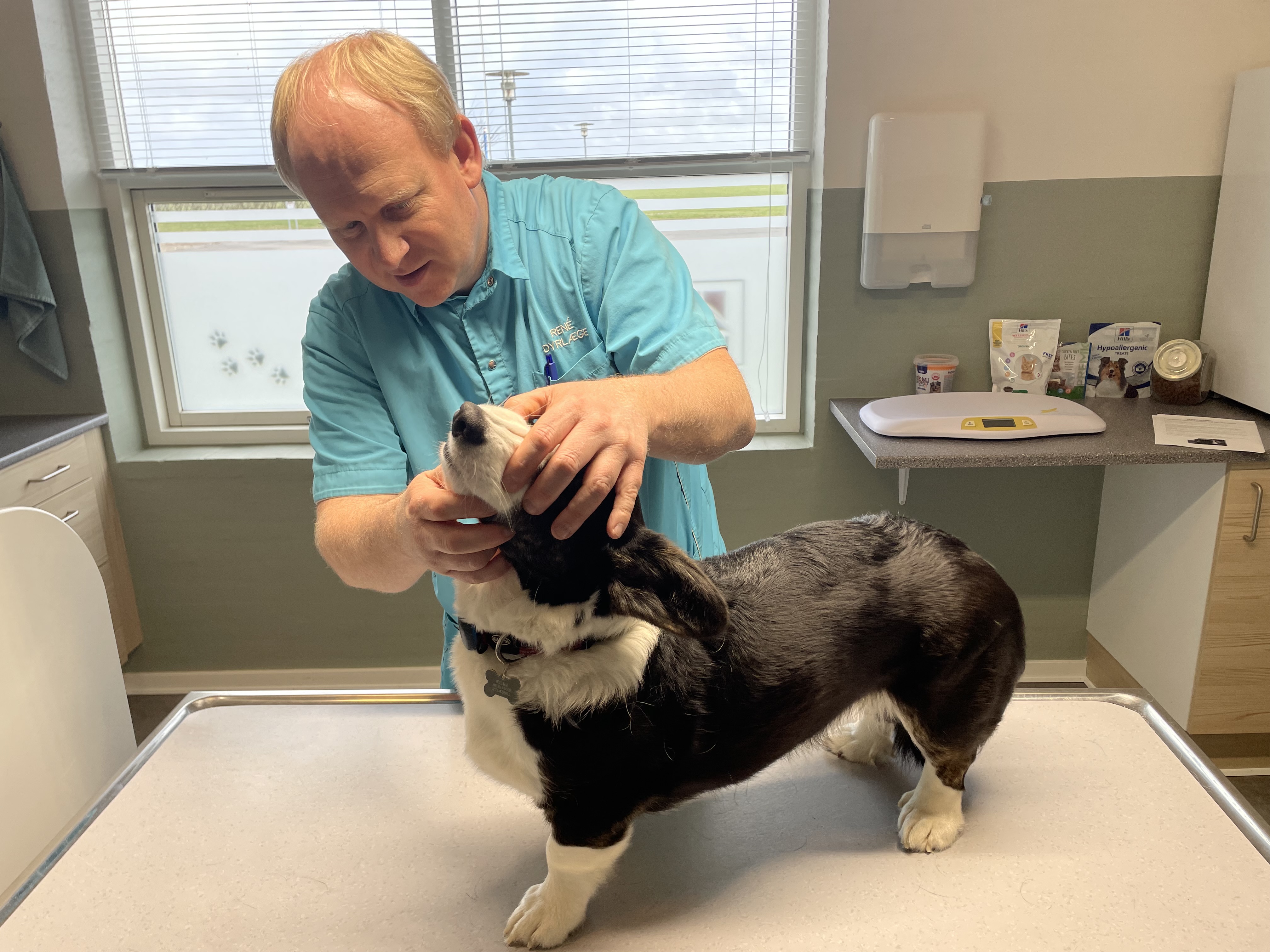 Dyrlægens næsten katastrofale møde med sundhedssystemet efter et ...