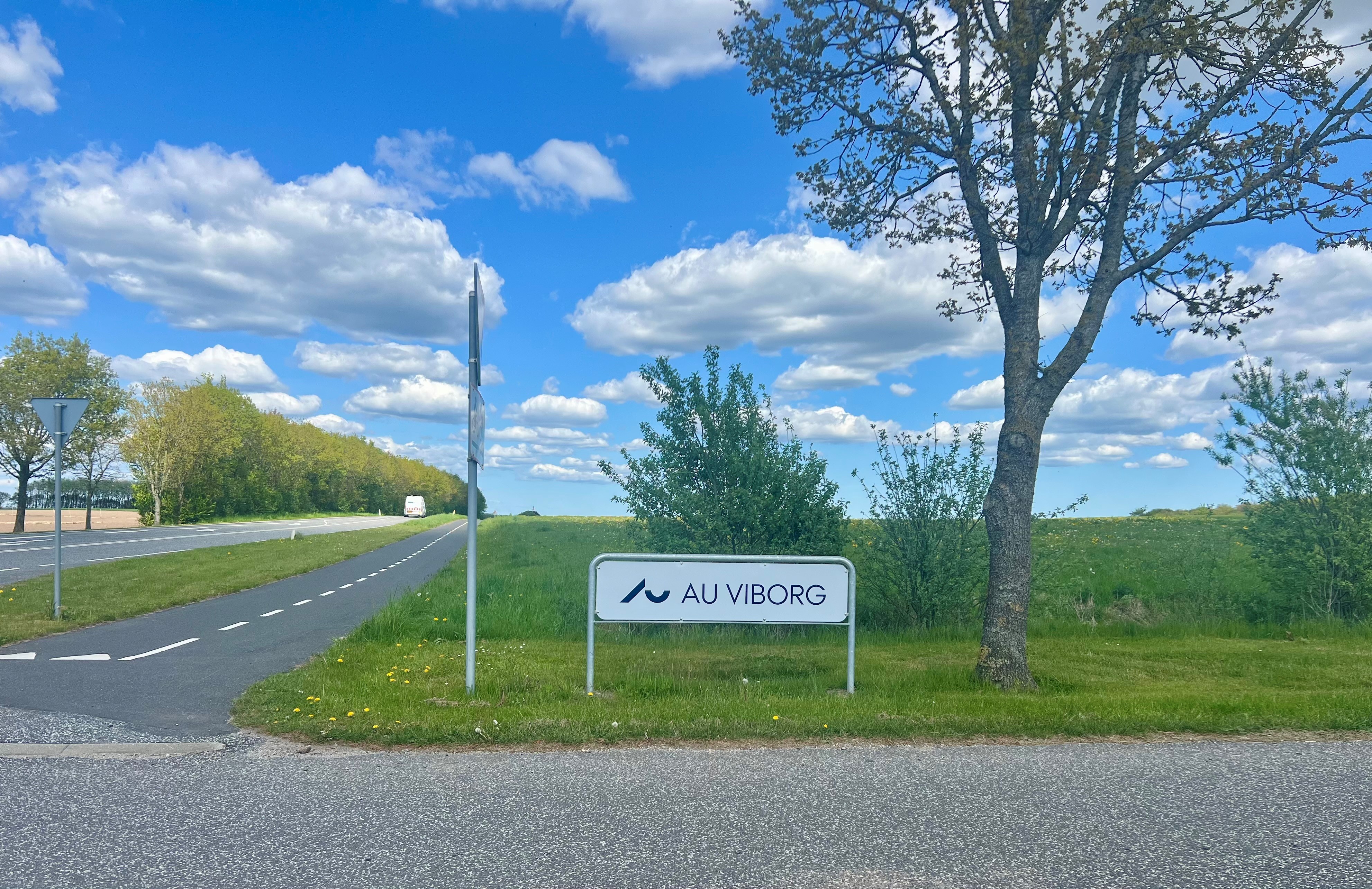 Hvordan er det første år gået med Danmarks nye dyrlægeuddannelse i Viborg? | Dansk ...