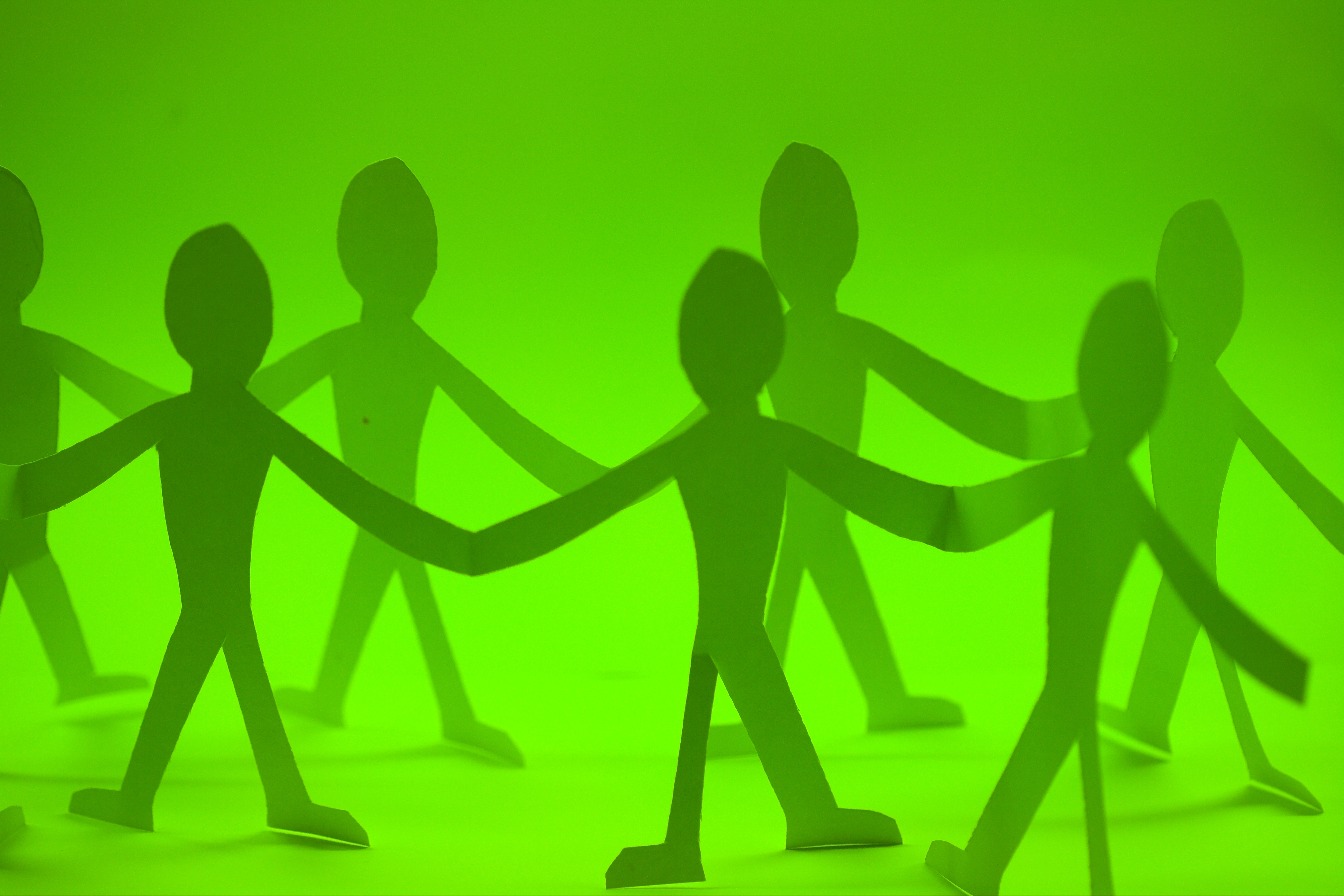 Favn bredt, favn diverst, favn kolleger | Dansk Veterinærtidsskrift