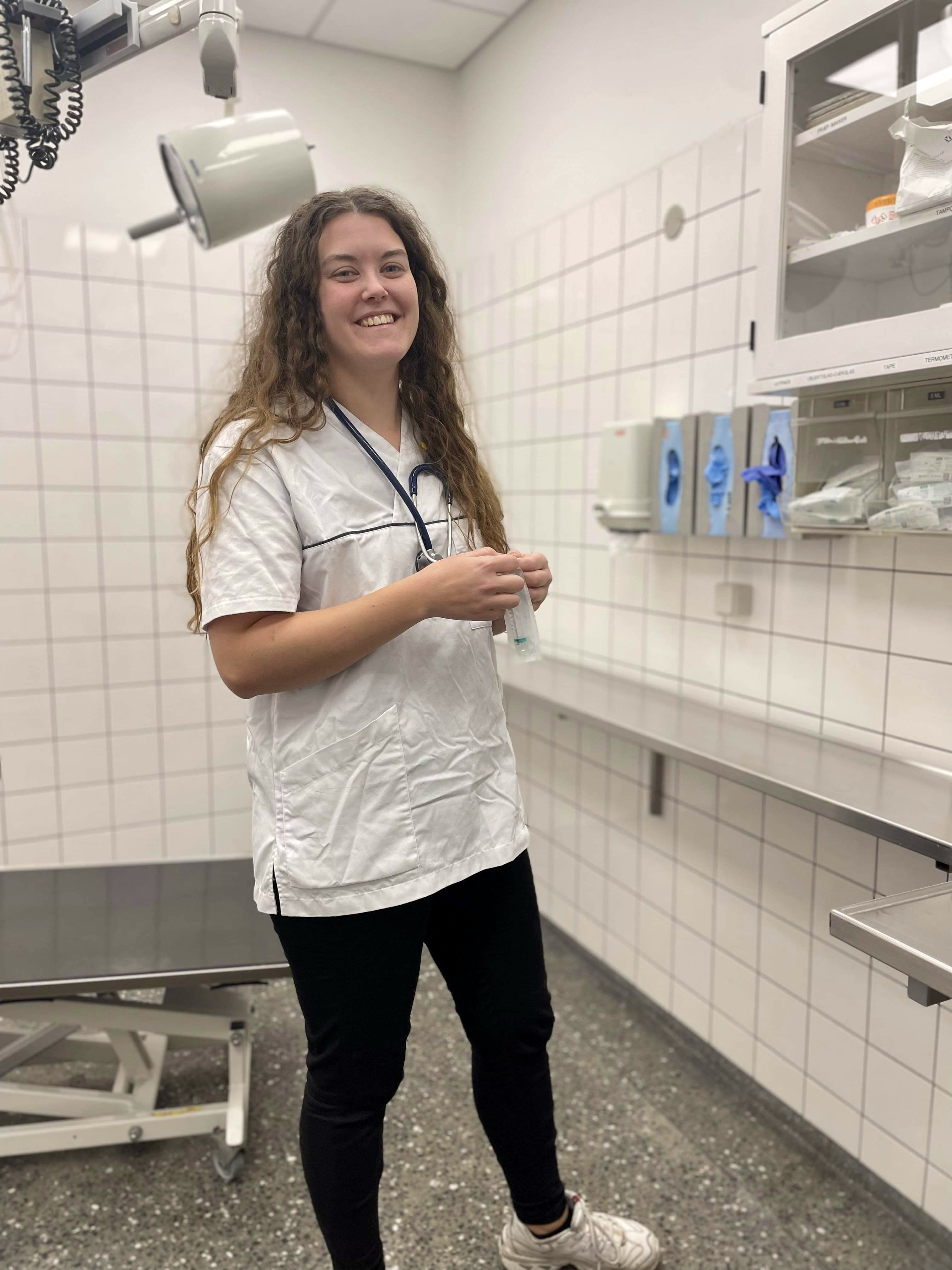 Dyrlægens dilemma – i gråzonen mellem aflivning og behandling | Dansk Veterinærtidsskrift