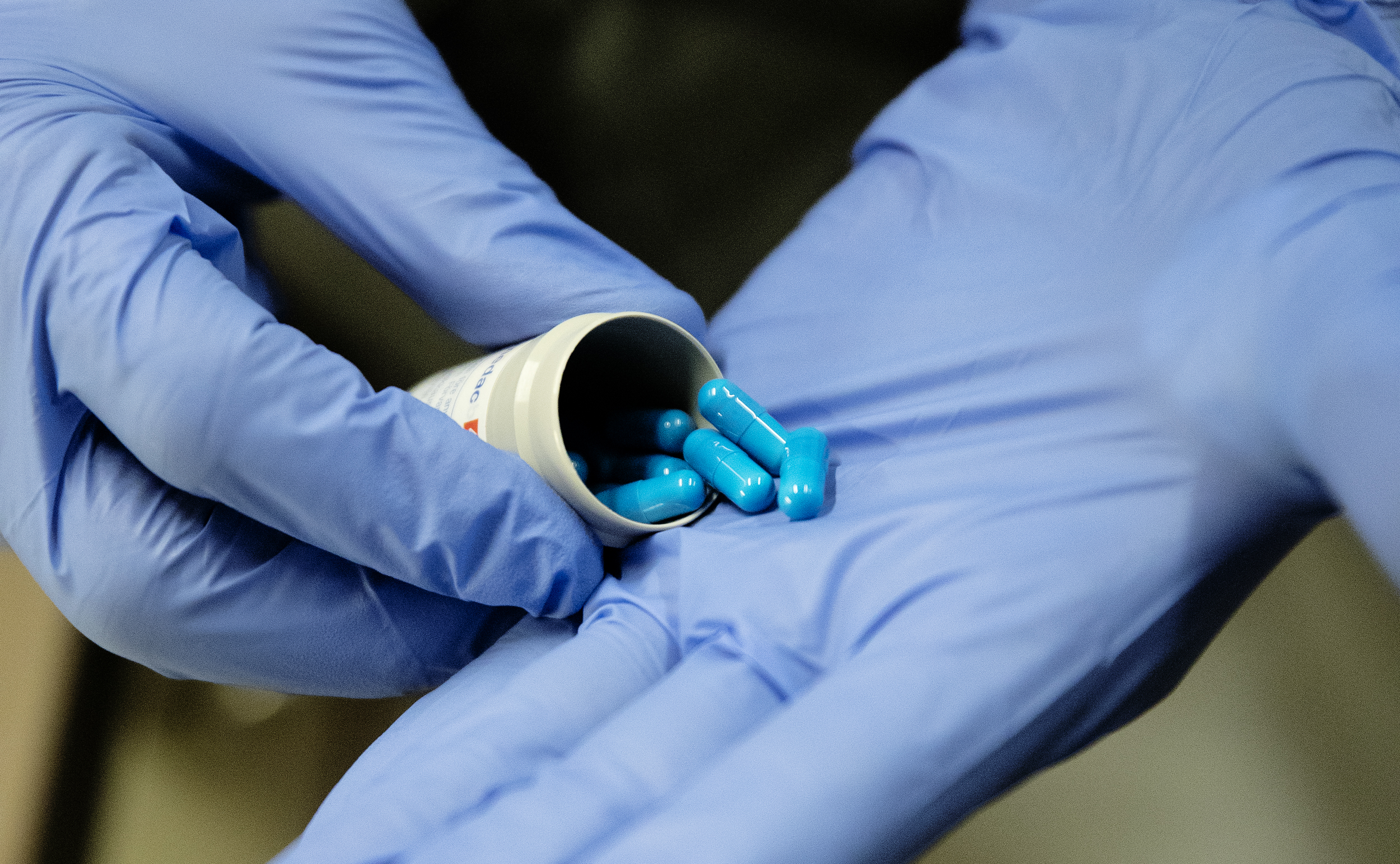 Behandling af familiedyr med cytostatika og andre antineoplastiske lægemidler | Dansk ...