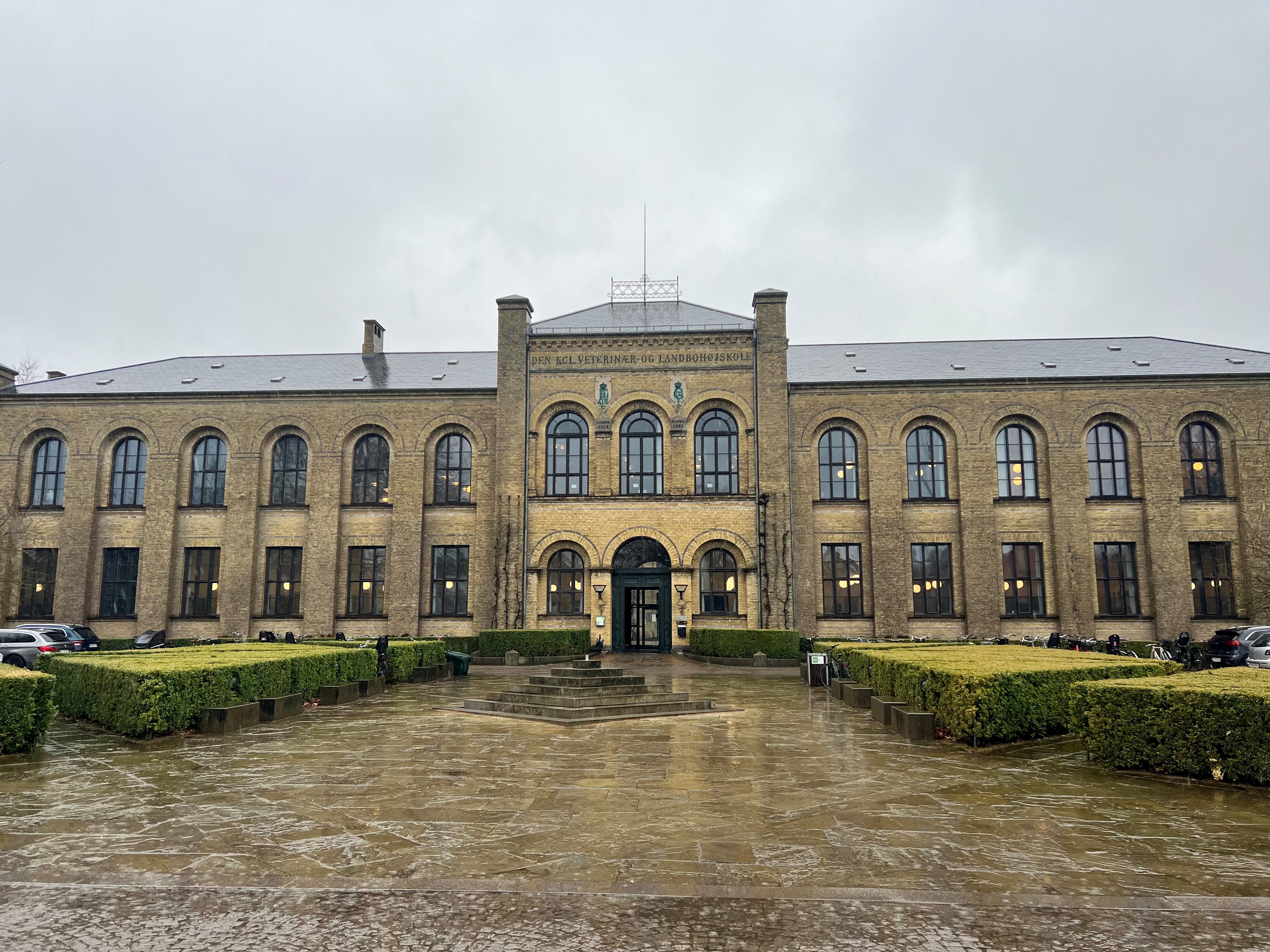 Er det tid til at »ryste posen« på dyrlægeuddannelsen? | Dansk ...