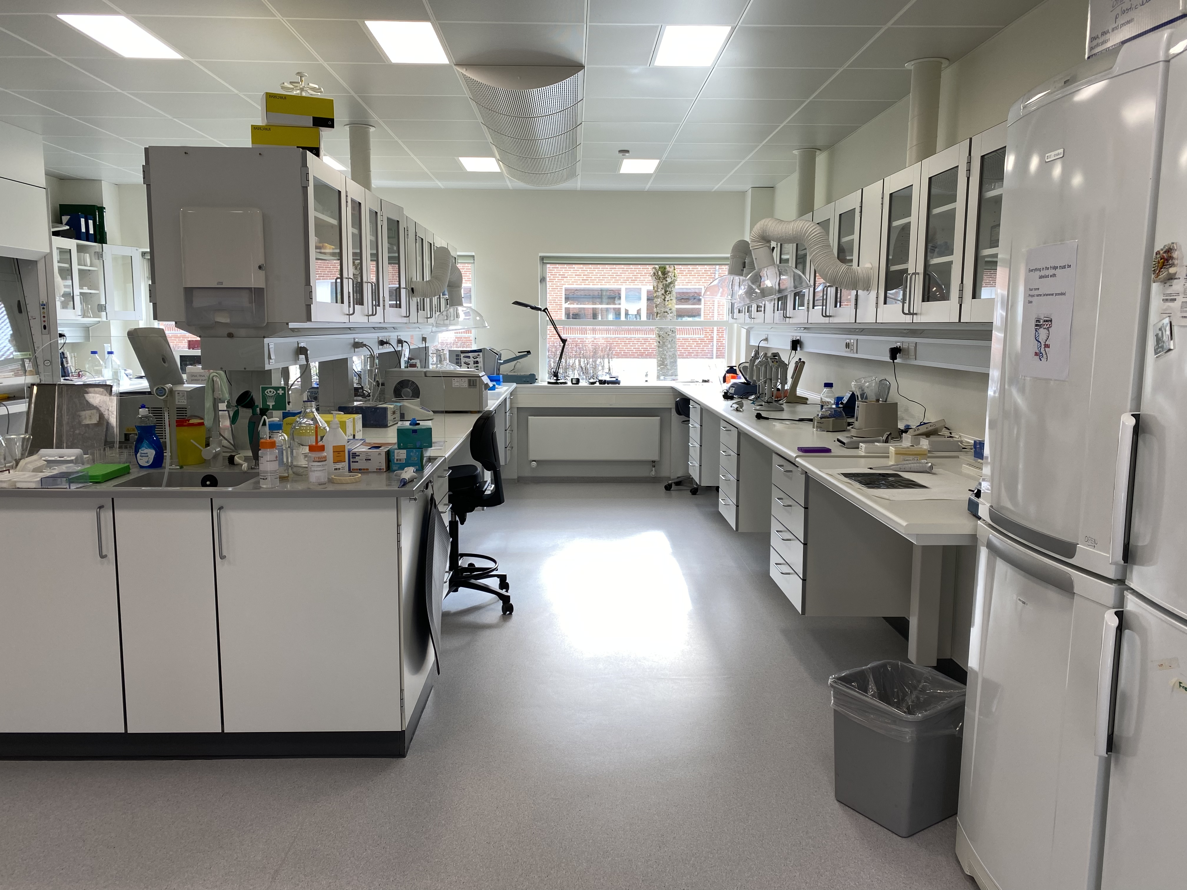 »Vi er først rigtigt i mål, når vi sender de første dygtige kandidater ud fra AU Viborg« | Dansk ...